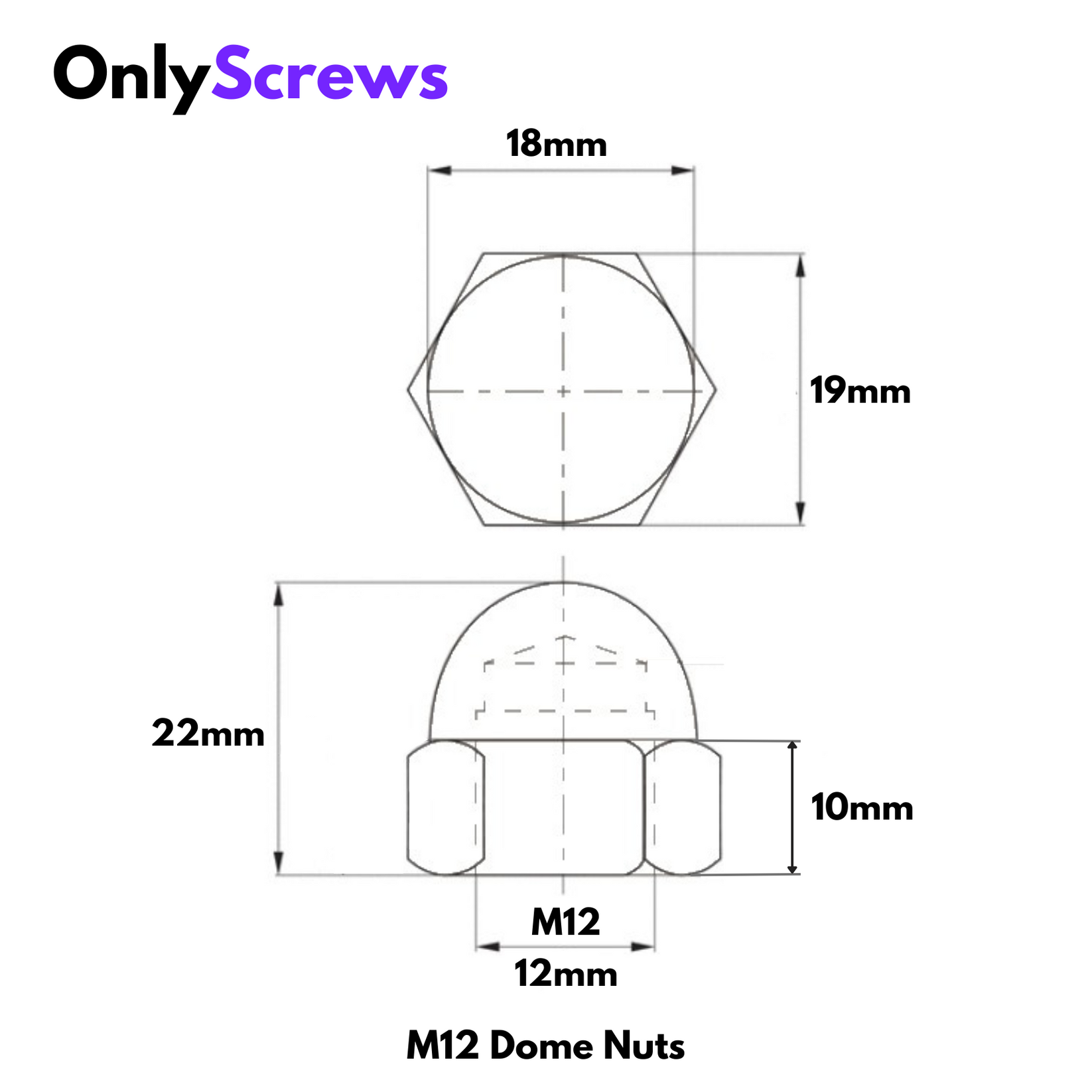 M12 Dome Nuts SS304 (Dia. 12mm) – OnlyScrews