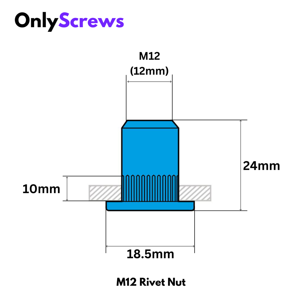 M12 Rivet/Insert Nut SS304 (Dia. 12mm) – OnlyScrews