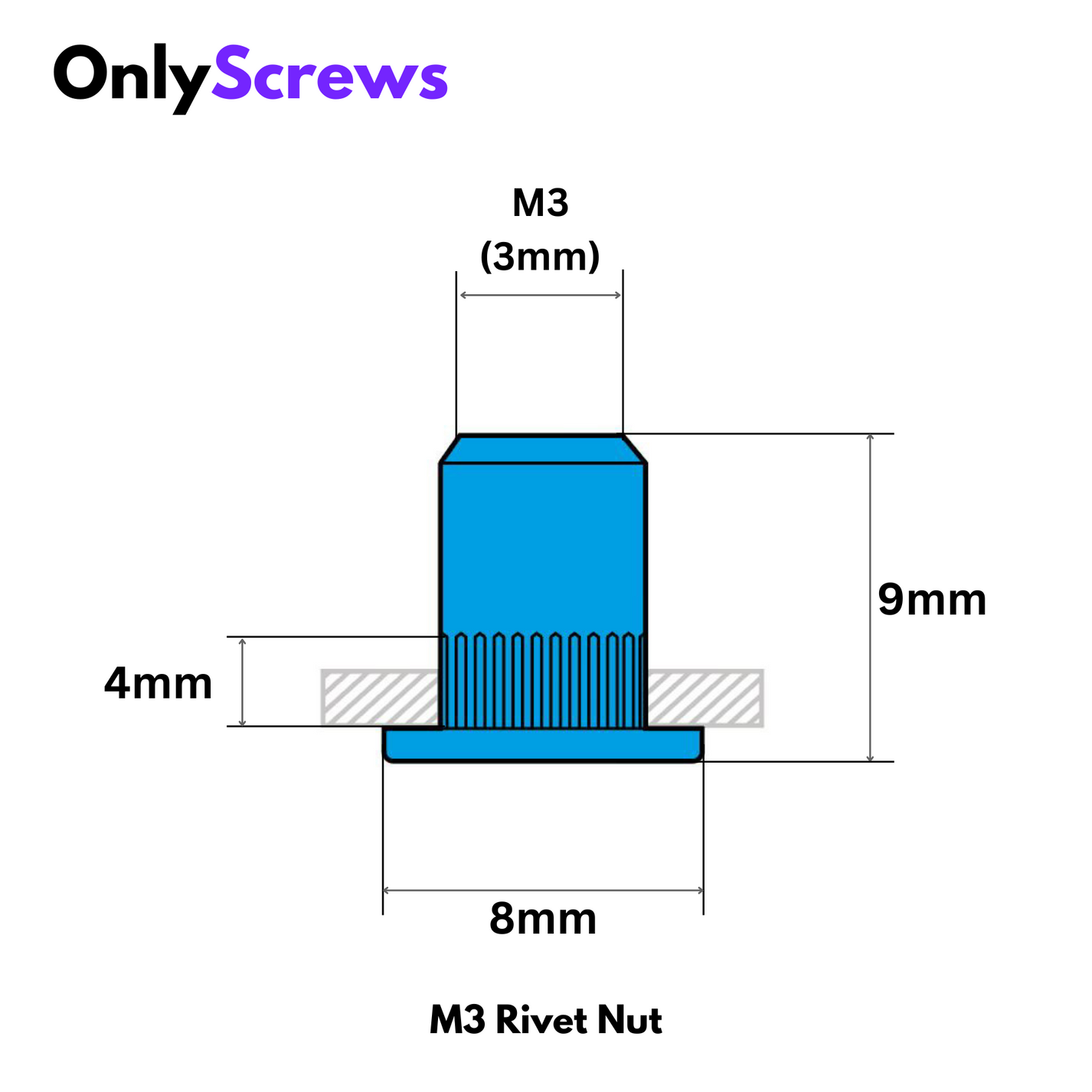 M3 Rivet/Insert Nut SS304 (Dia. 3mm) – OnlyScrews